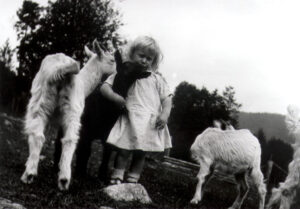 Island’s ‘foodways’ explored in two-part series - Salt Spring Island news