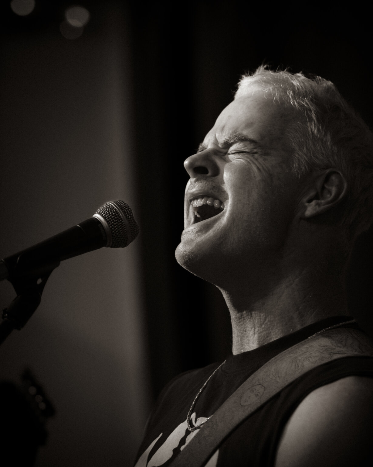 Artcraft’s new season opens on musical note - Salt Spring Island news